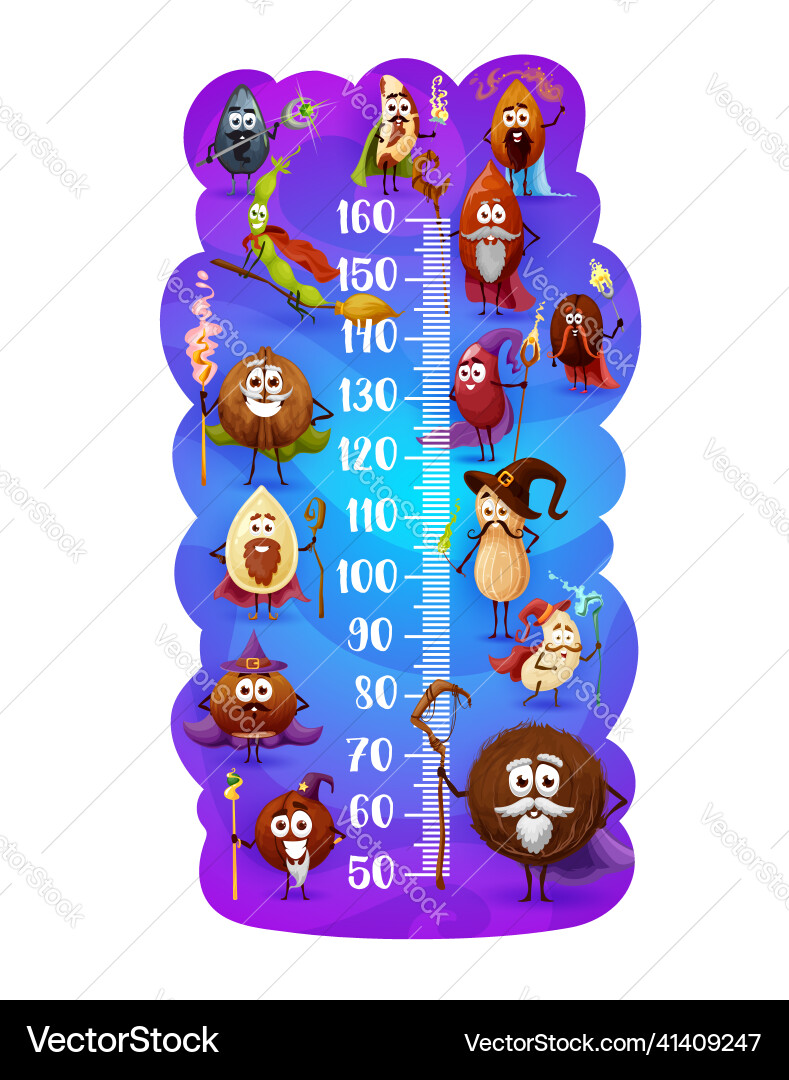 Kids height chart with magician and wizards nuts Vector Image