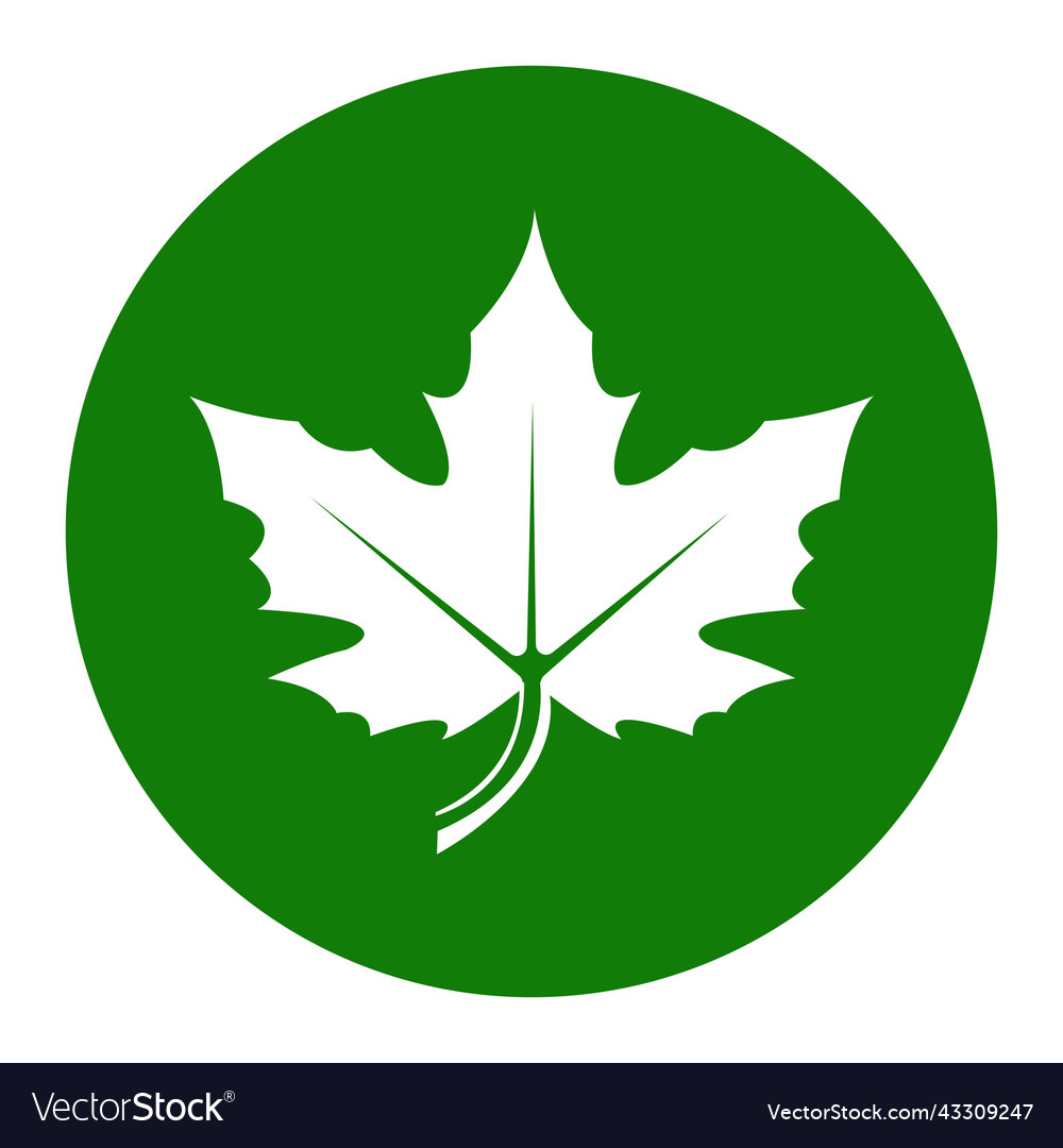 Leaf logo Royalty Free Vector Image - VectorStock
