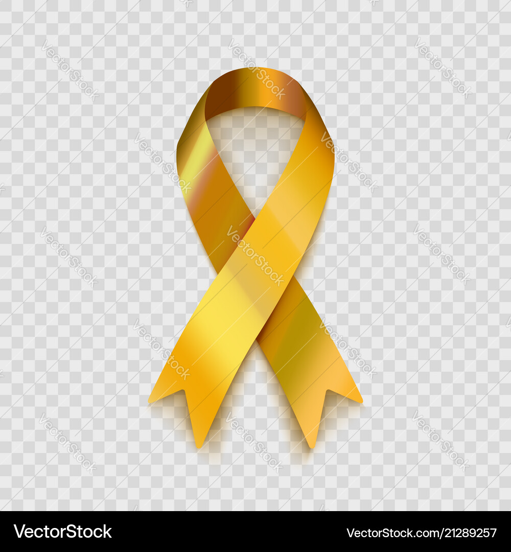 Golden Ribbon Isolated on Checkered Background Vector Image