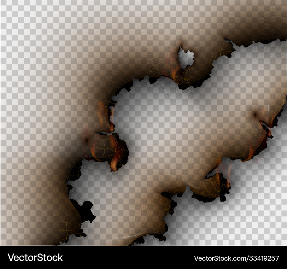 Set transparent adhesive tape and adhesive Vector Image