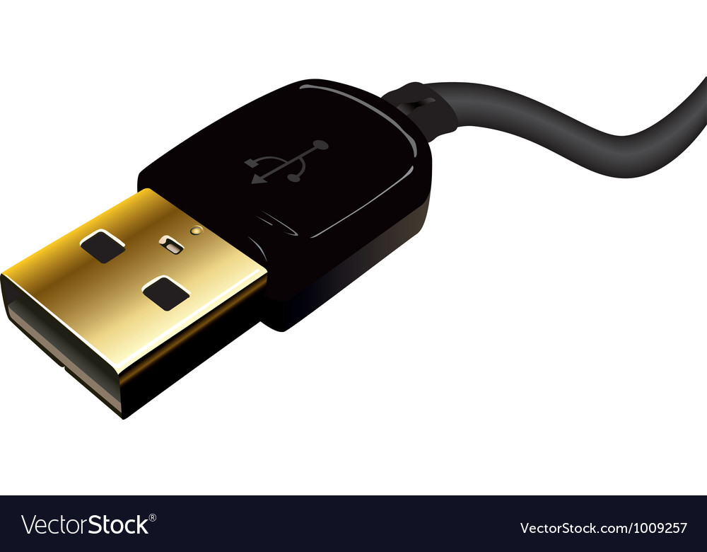 Usbcableend Royalty Free Vector Image - VectorStock