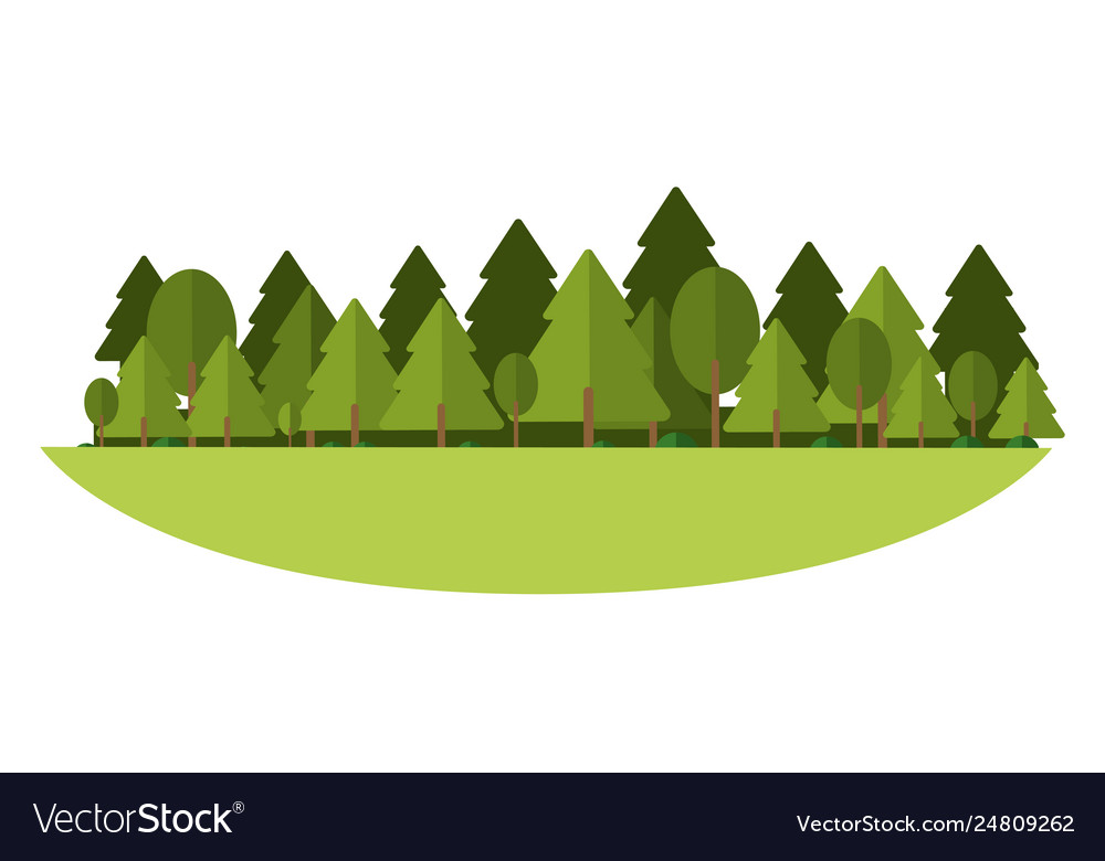 Forest and trees Royalty Free Vector Image - VectorStock