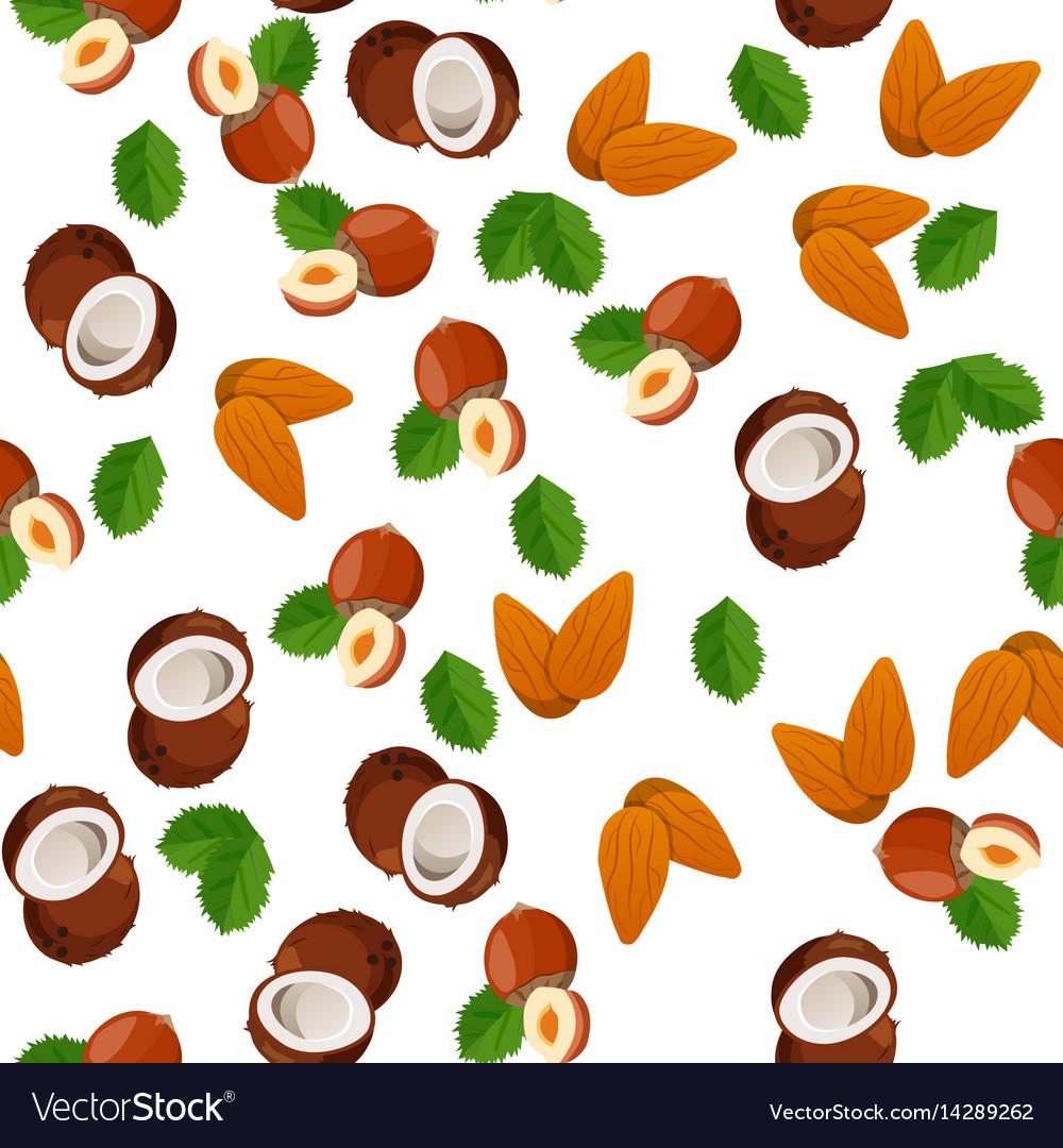 Nuts Royalty Free Vector Image - VectorStock