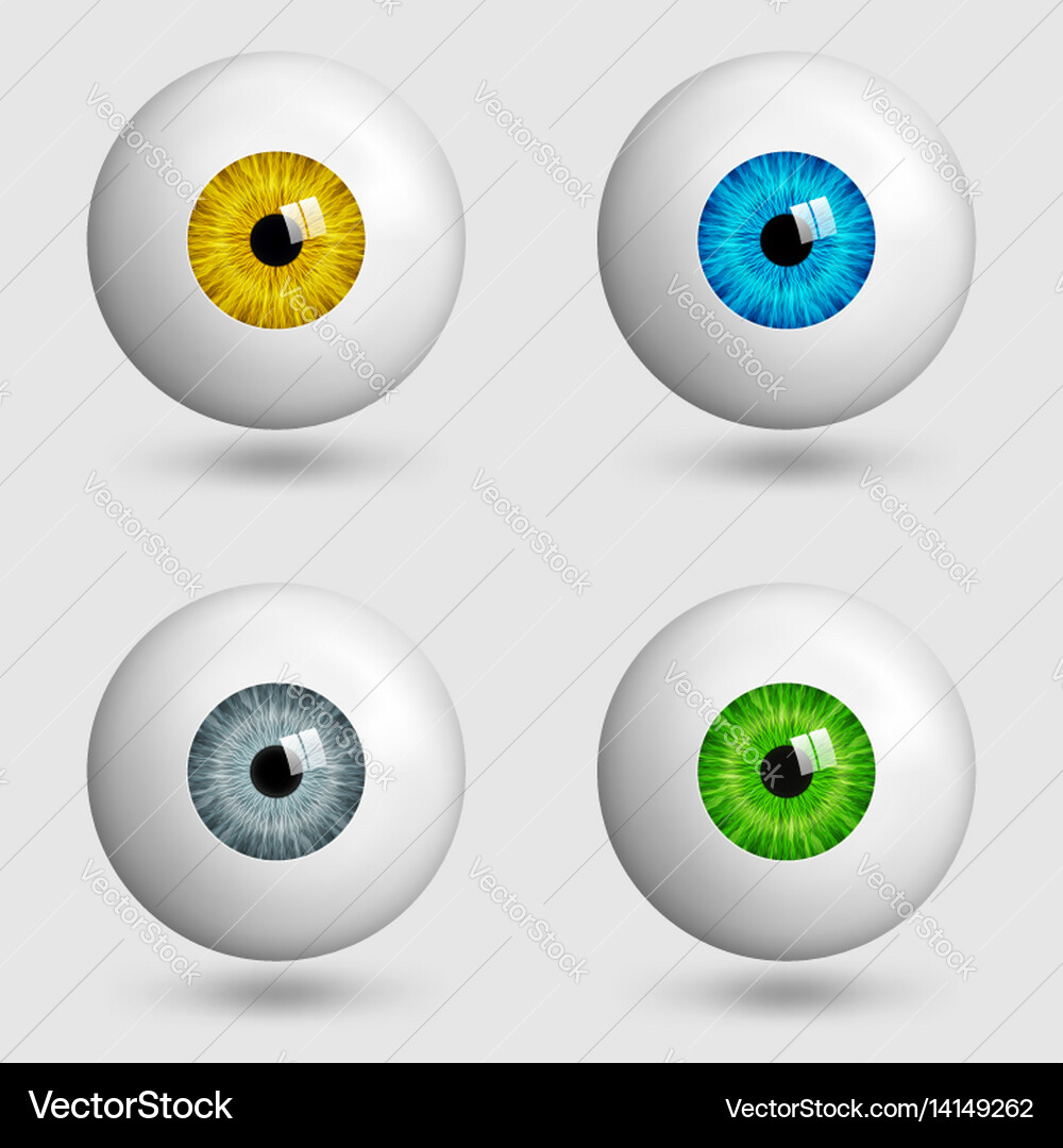 Set of realistic eyes with different colors Vector Image