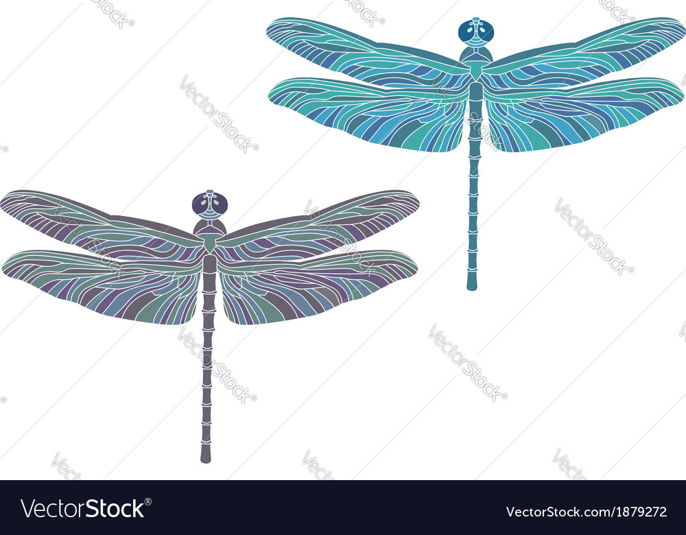 Dragonfly Royalty Free Vector Image - VectorStock