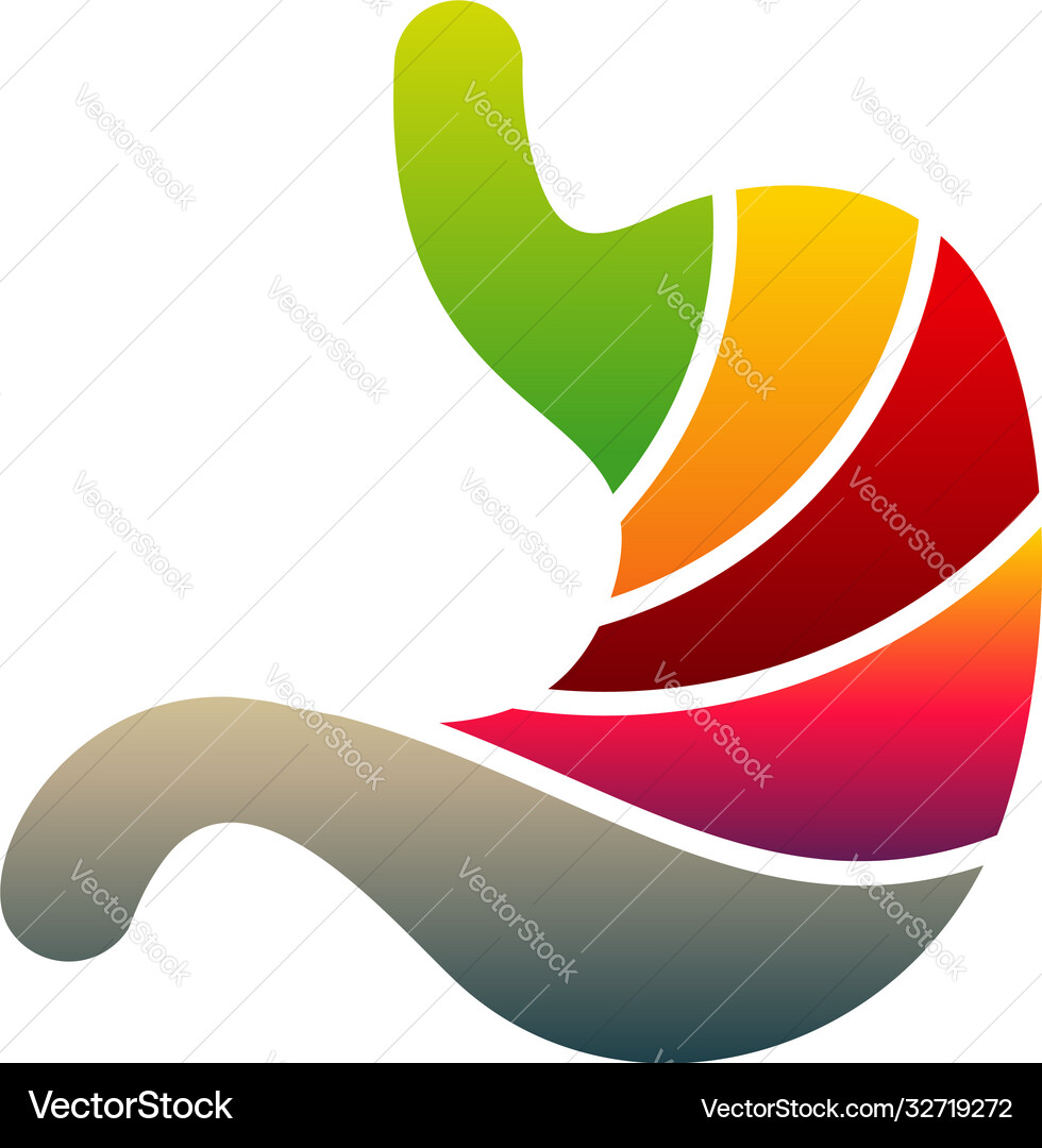 Stomach logo designs colorful logo Royalty Free Vector Image
