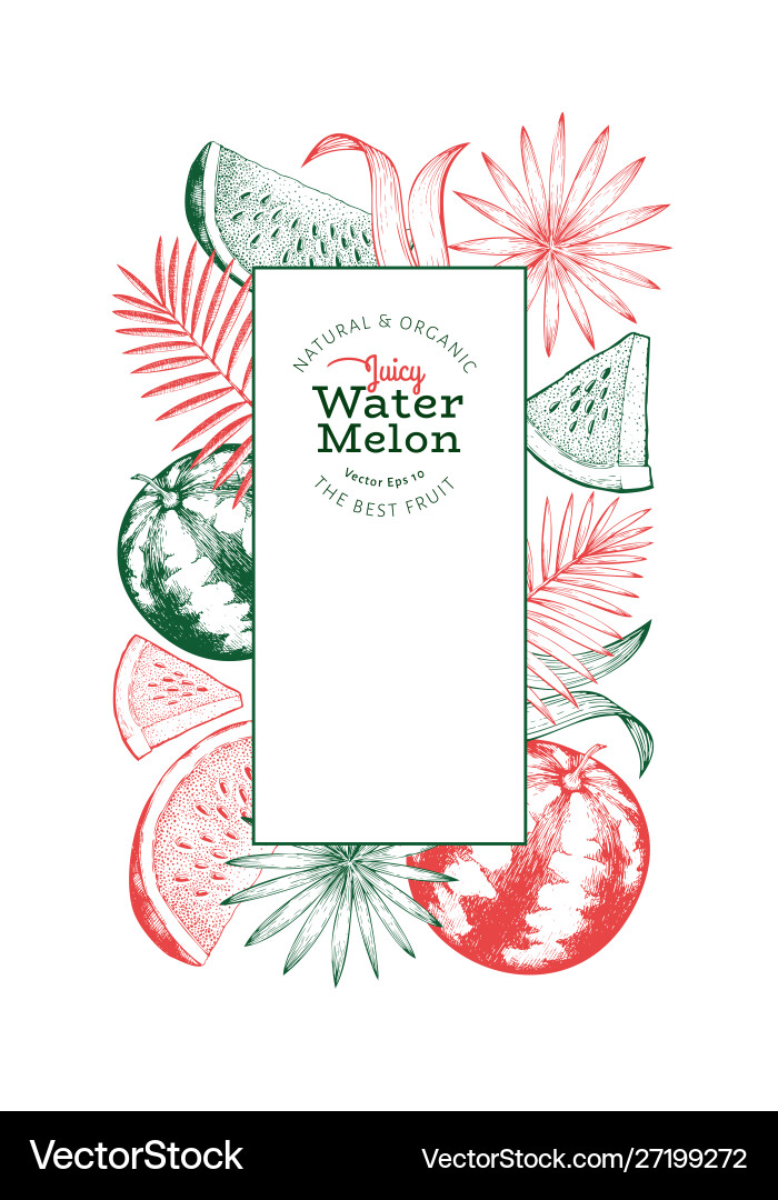 Watermelon and tropical leaves design template Vector Image