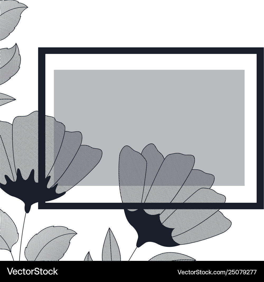Flowers with leaves and square icon Royalty Free Vector