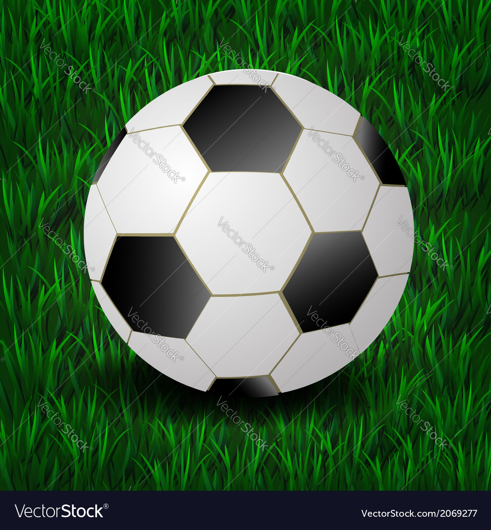 Football on a grass background Royalty Free Vector Image