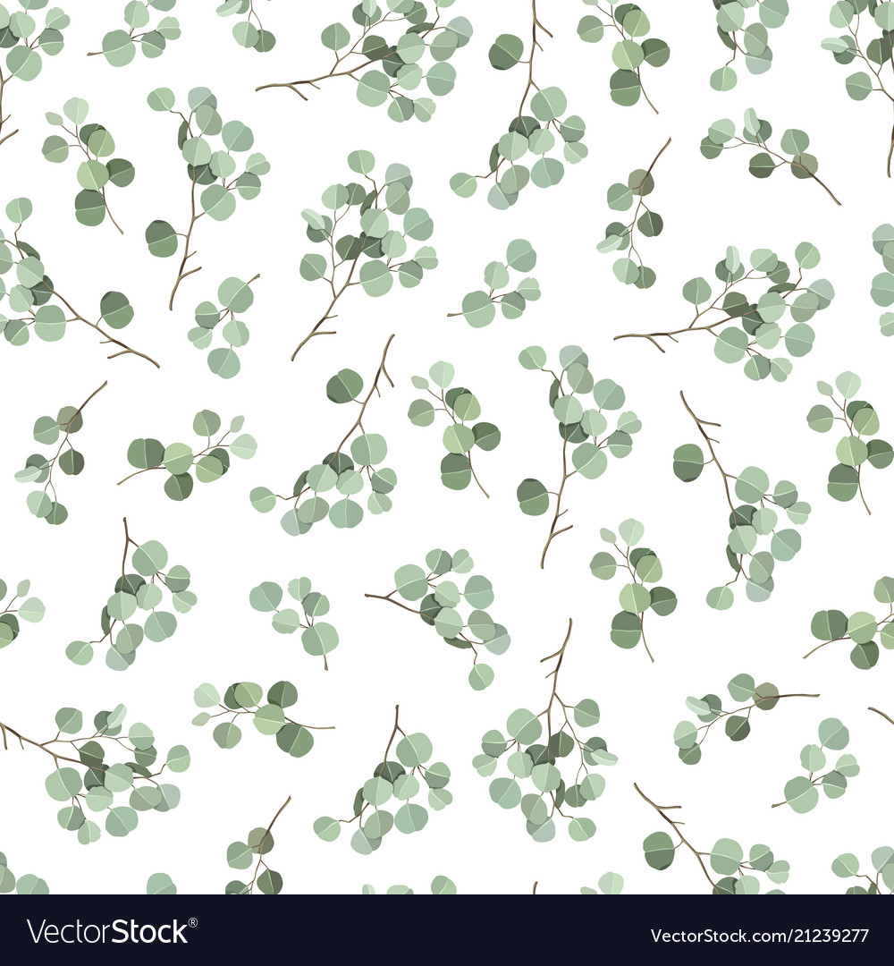 Seamless pattern with eucalyptus branches Vector Image