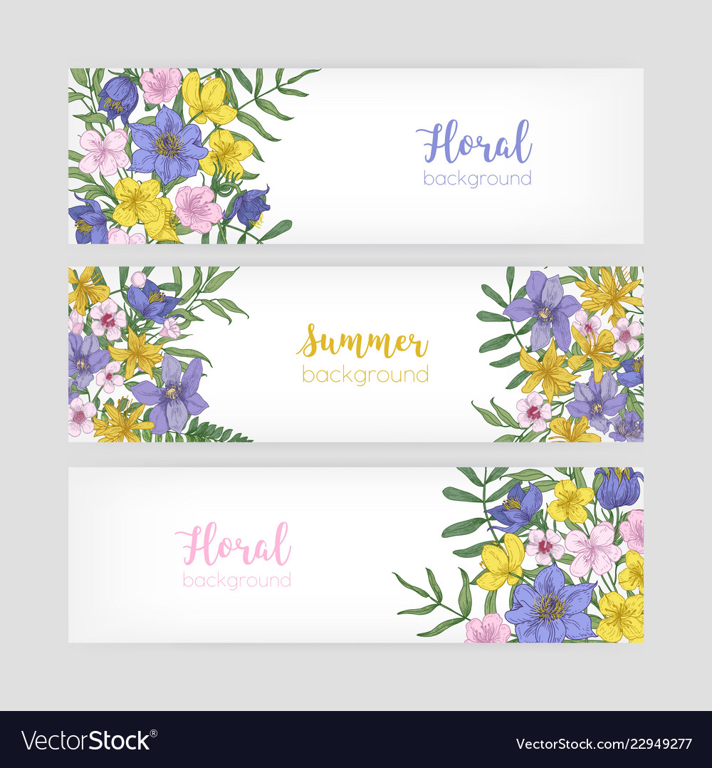 Set of floral banner templates with elegant Vector Image