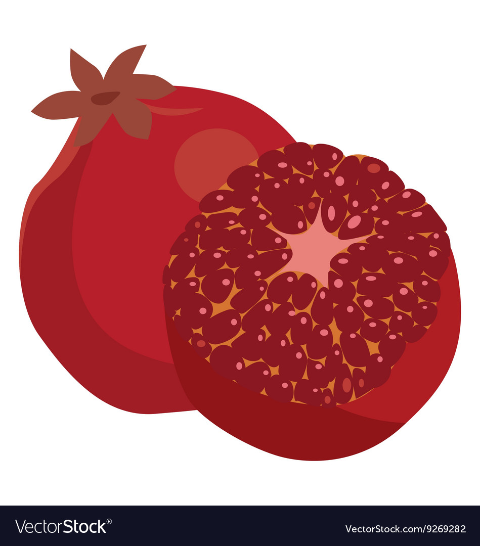 Garnet Royalty Free Vector Image - VectorStock