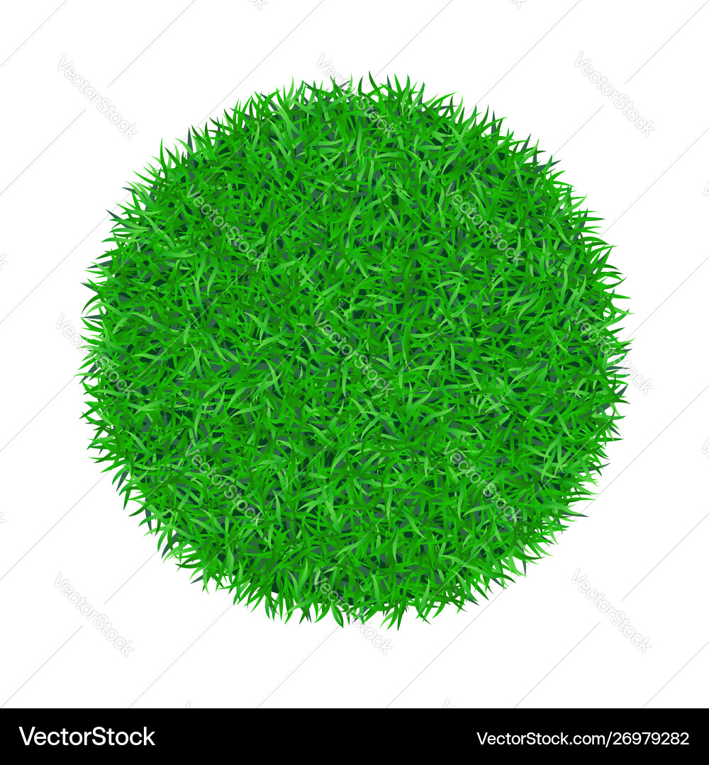Green grass circle 3d green round ball isolated Vector Image
