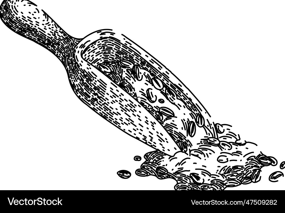Oatmeal oat spoon sketch hand drawn Royalty Free Vector