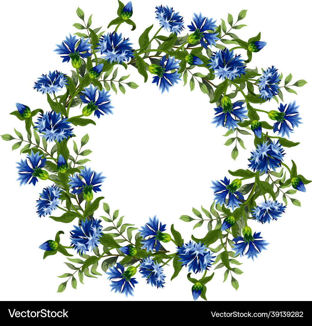 Round frame made of cornflowers Royalty Free Vector Image