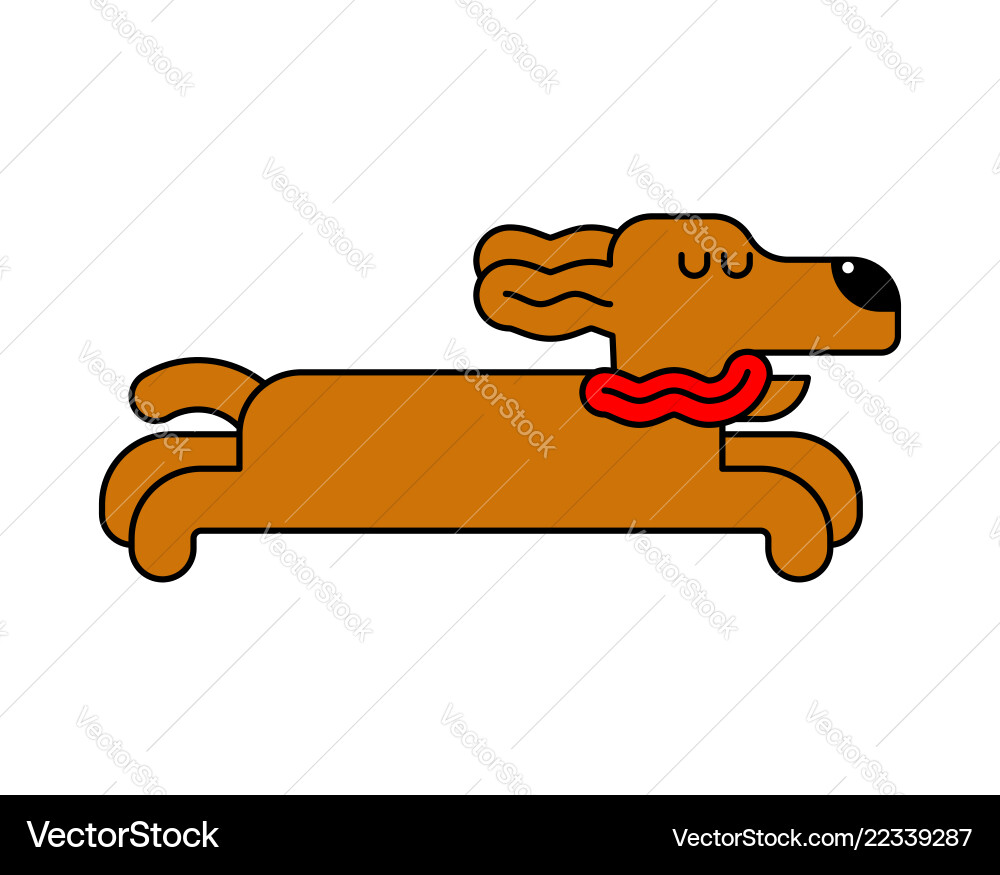 Dog sleeping isolated pet is asleep Royalty Free Vector