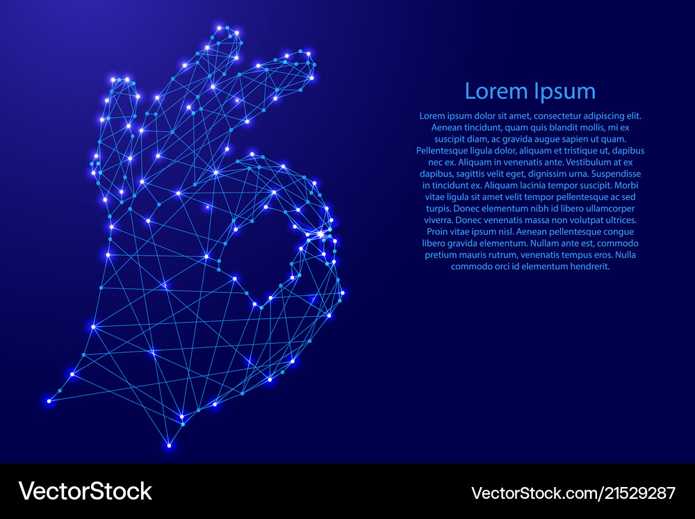 Hand showing ok sign from polygonal blue lines Vector Image