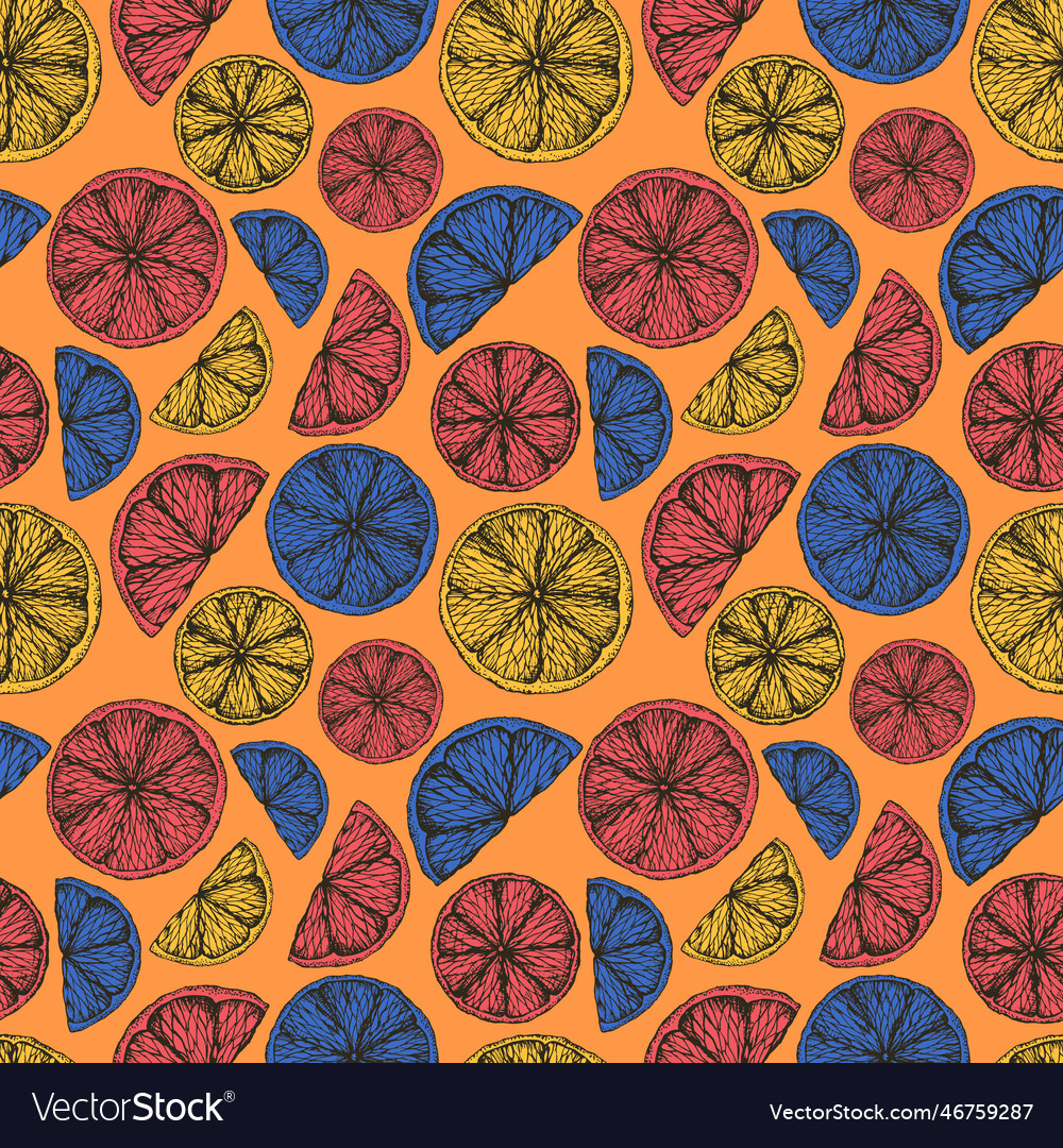 Seamless pattern with multicolored citrus fruits Vector Image