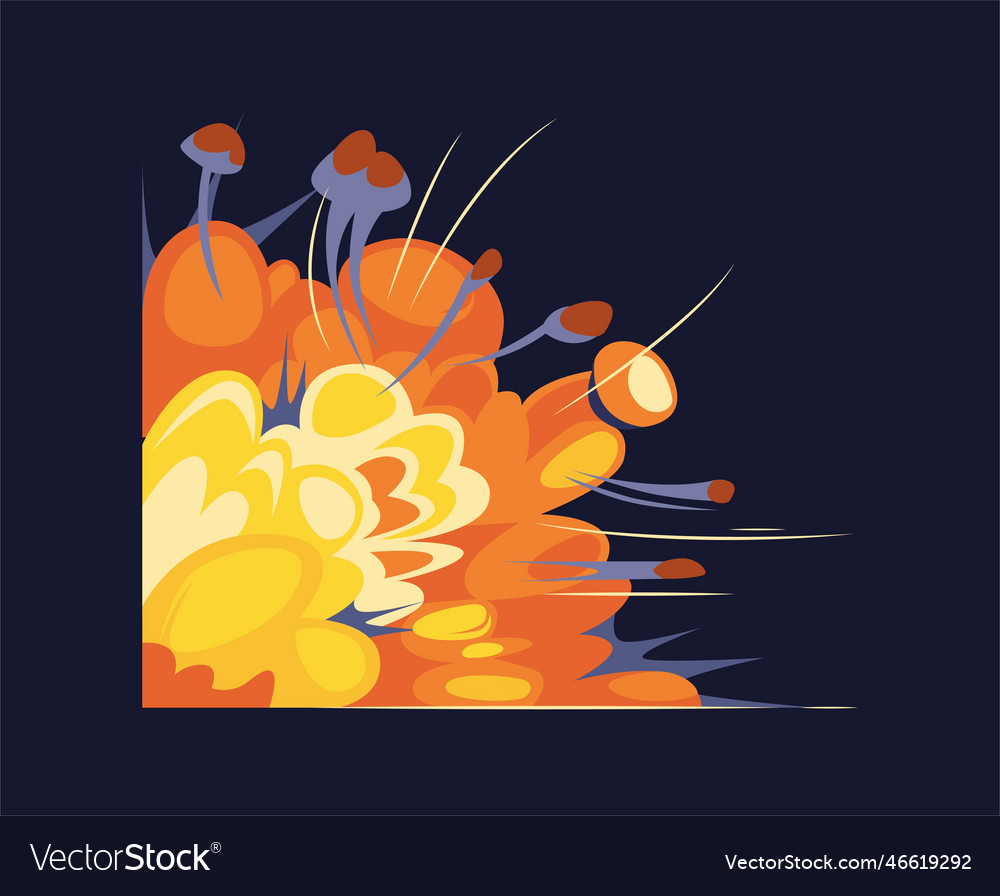 Bomb explosion concept Royalty Free Vector Image