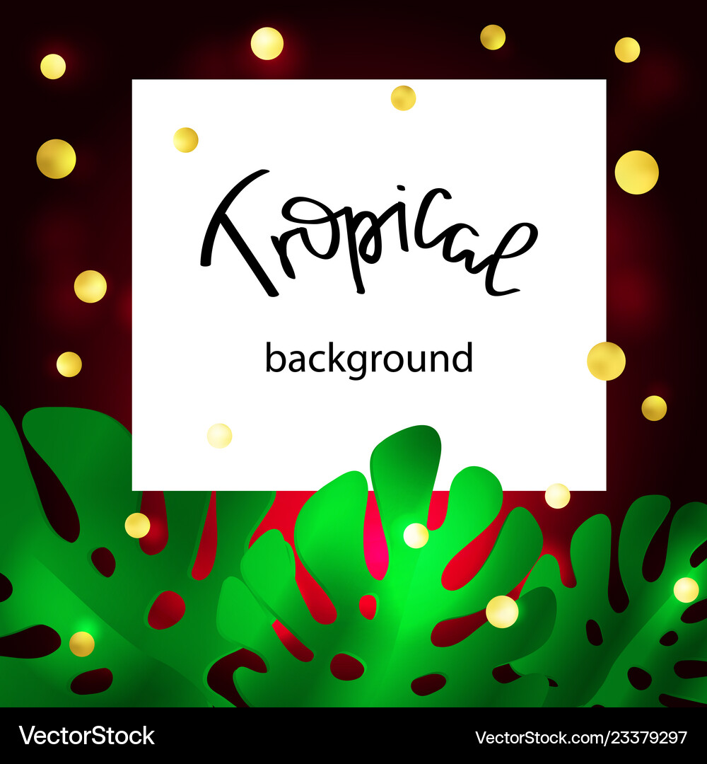 Bright tropical background with jungle plants Vector Image
