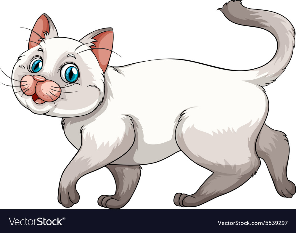 Kitten Royalty Free Vector Image - VectorStock