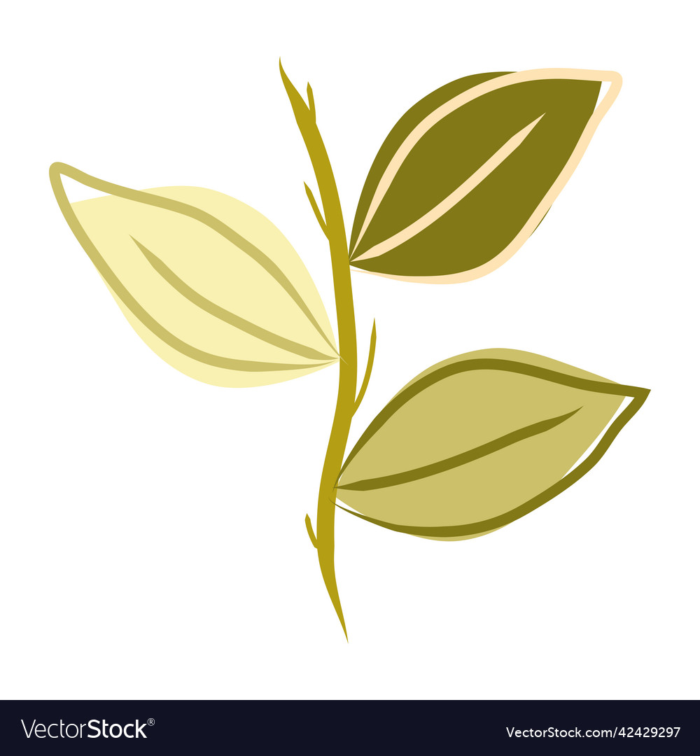 Stem Royalty Free Vector Image - VectorStock