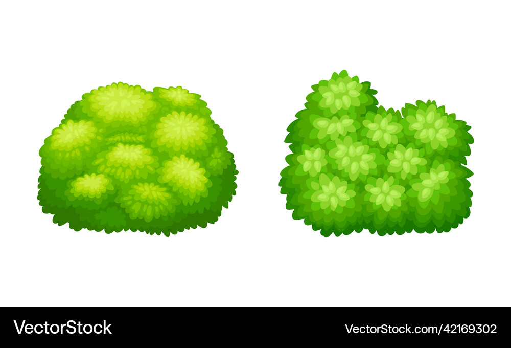 Green shrubs for park or garden decor tree crown Vector Image