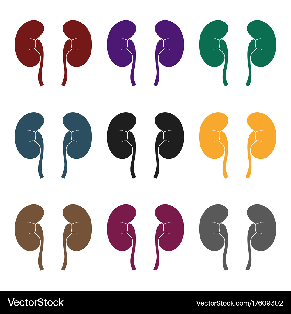 Human kidneys icon in black style isolated Vector Image