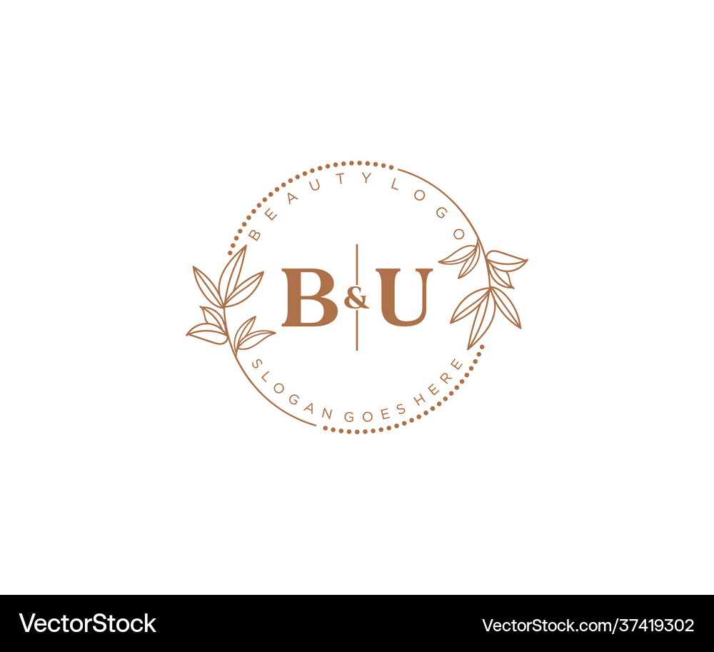 Initial bu letters beautiful floral feminine Vector Image