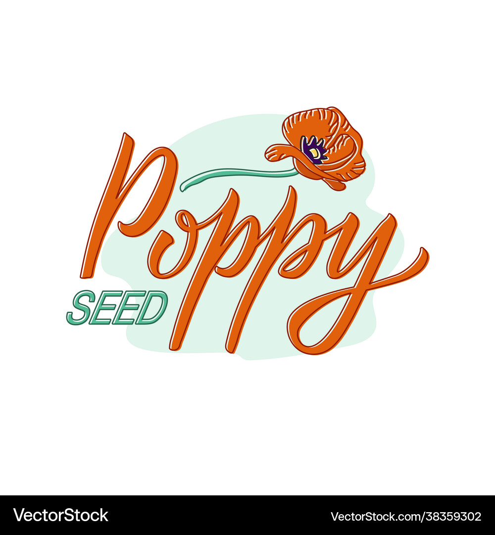 Poppy seed red creative lettering on mint color Vector Image