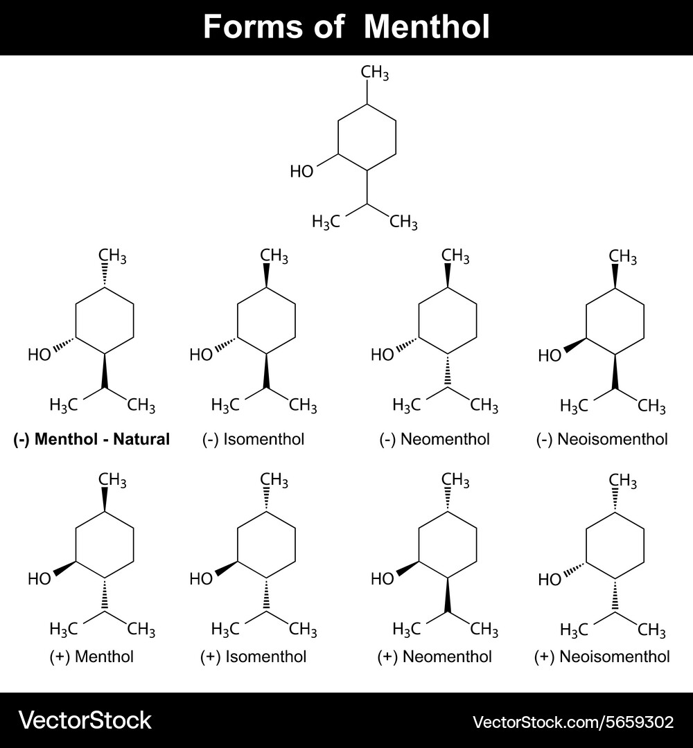 Stereoisomers of menthole molecule Royalty Free Vector Image