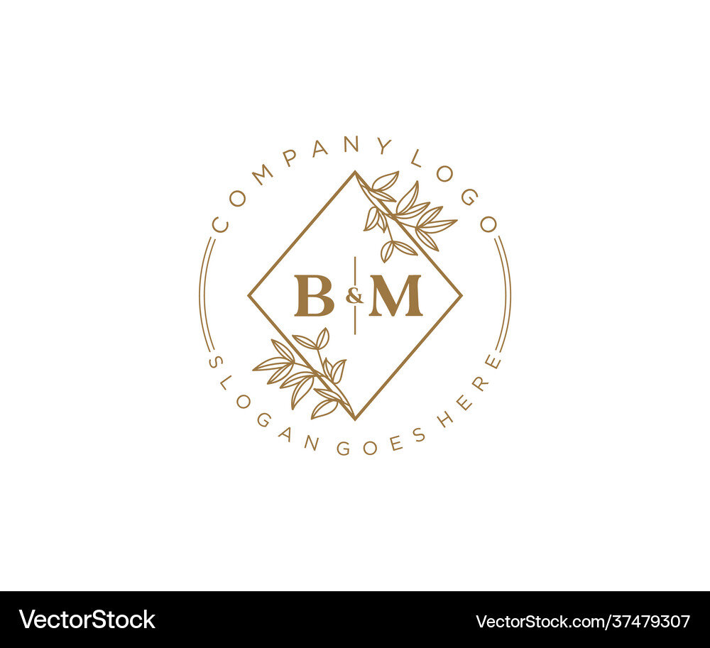 Initial bm letters beautiful floral feminine Vector Image