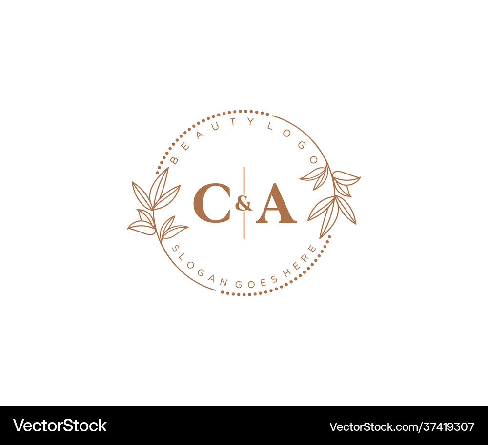 Initial ca letters beautiful floral feminine Vector Image