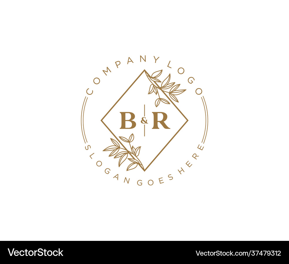 Initial br letters beautiful floral feminine Vector Image