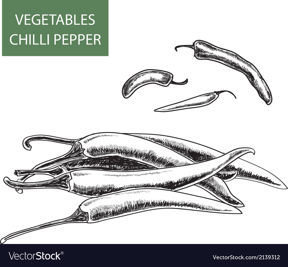 Pepper Royalty Free Vector Image - VectorStock