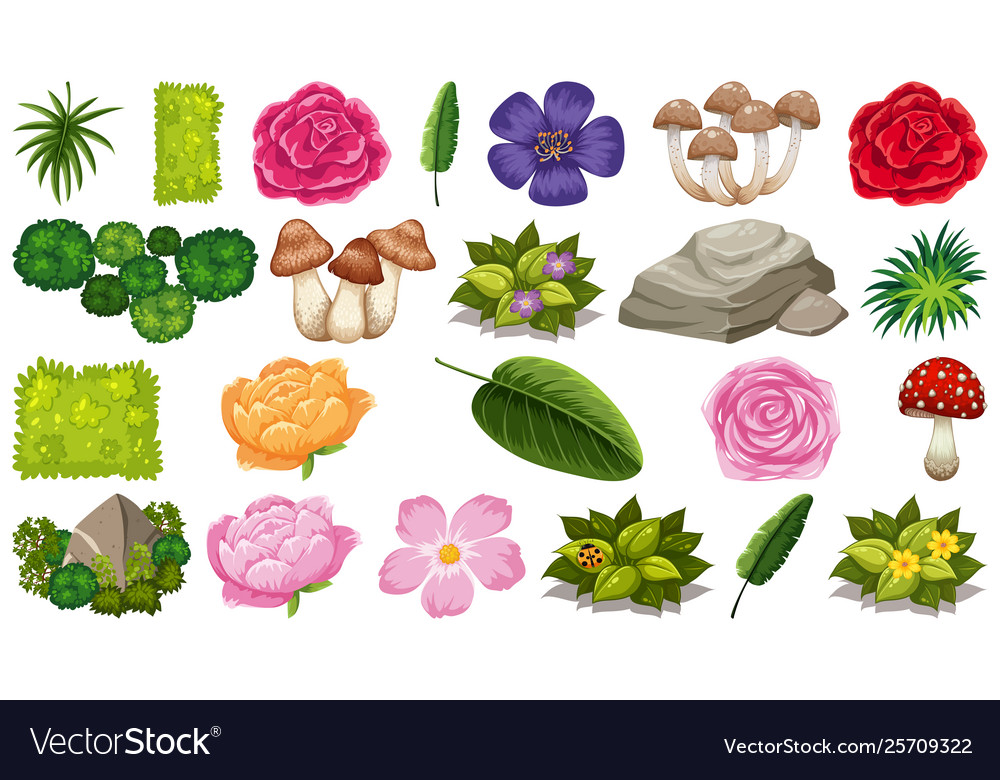 Set different nature objects Royalty Free Vector Image
