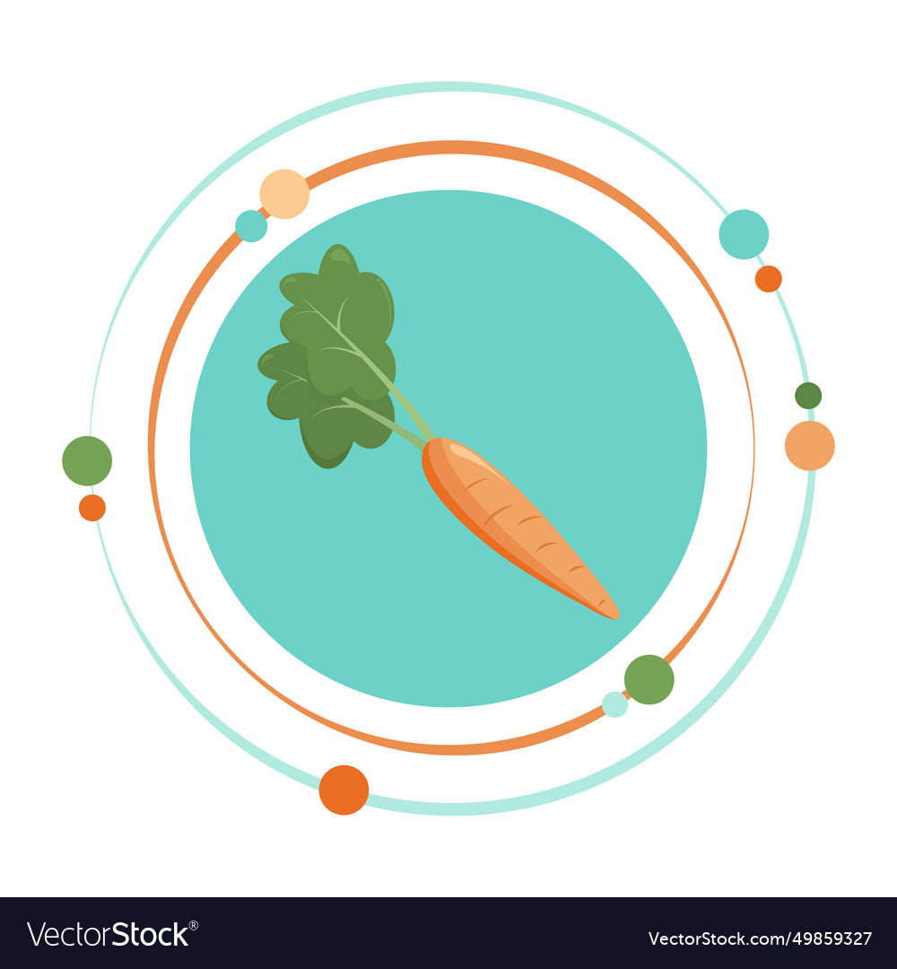 Carrot healthy food and nutrition Royalty Free Vector Image