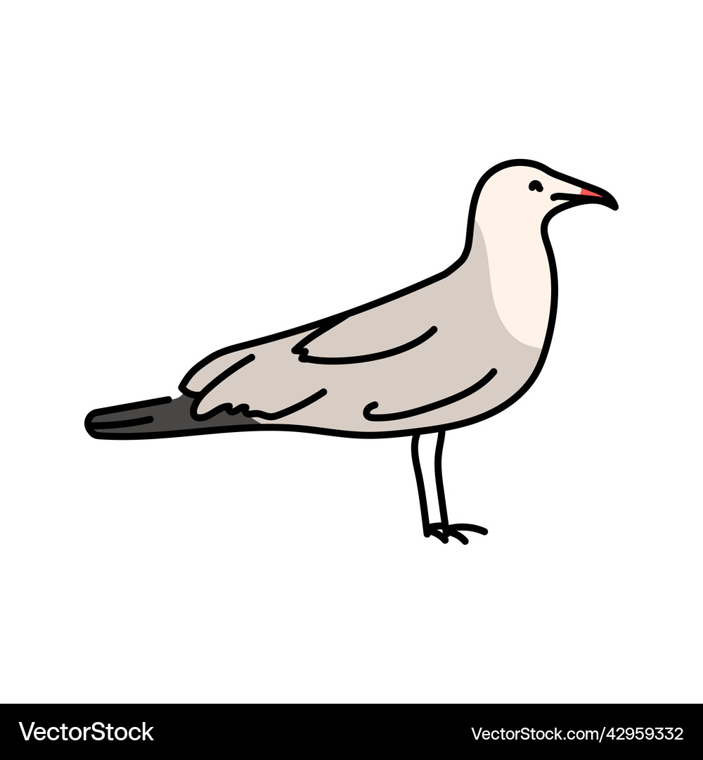 Gull color line marine mammals Royalty Free Vector Image