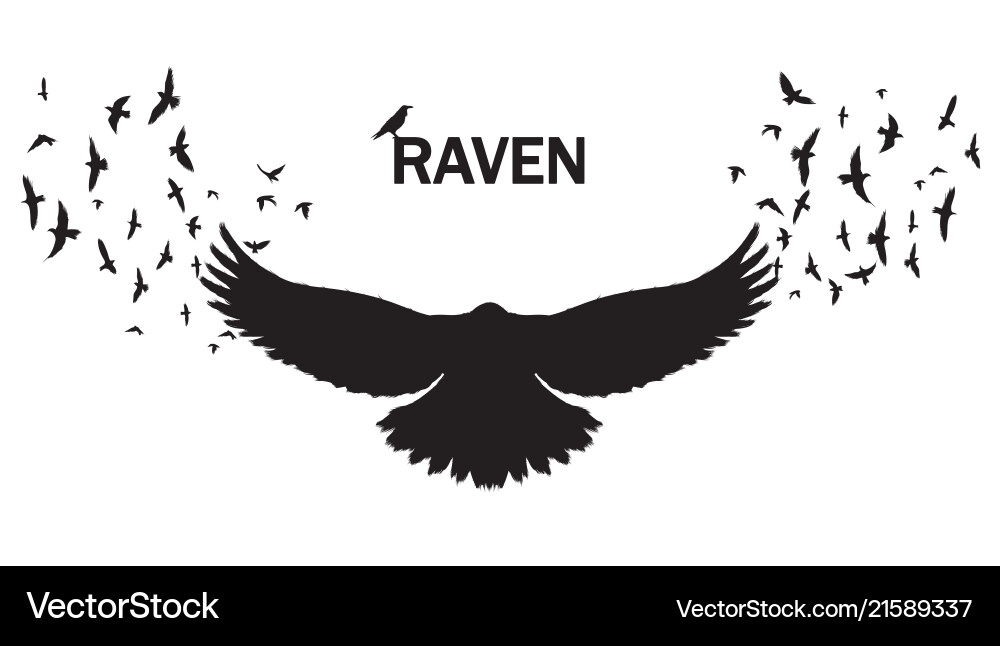 Image of a silhouette raven on white Royalty Free Vector