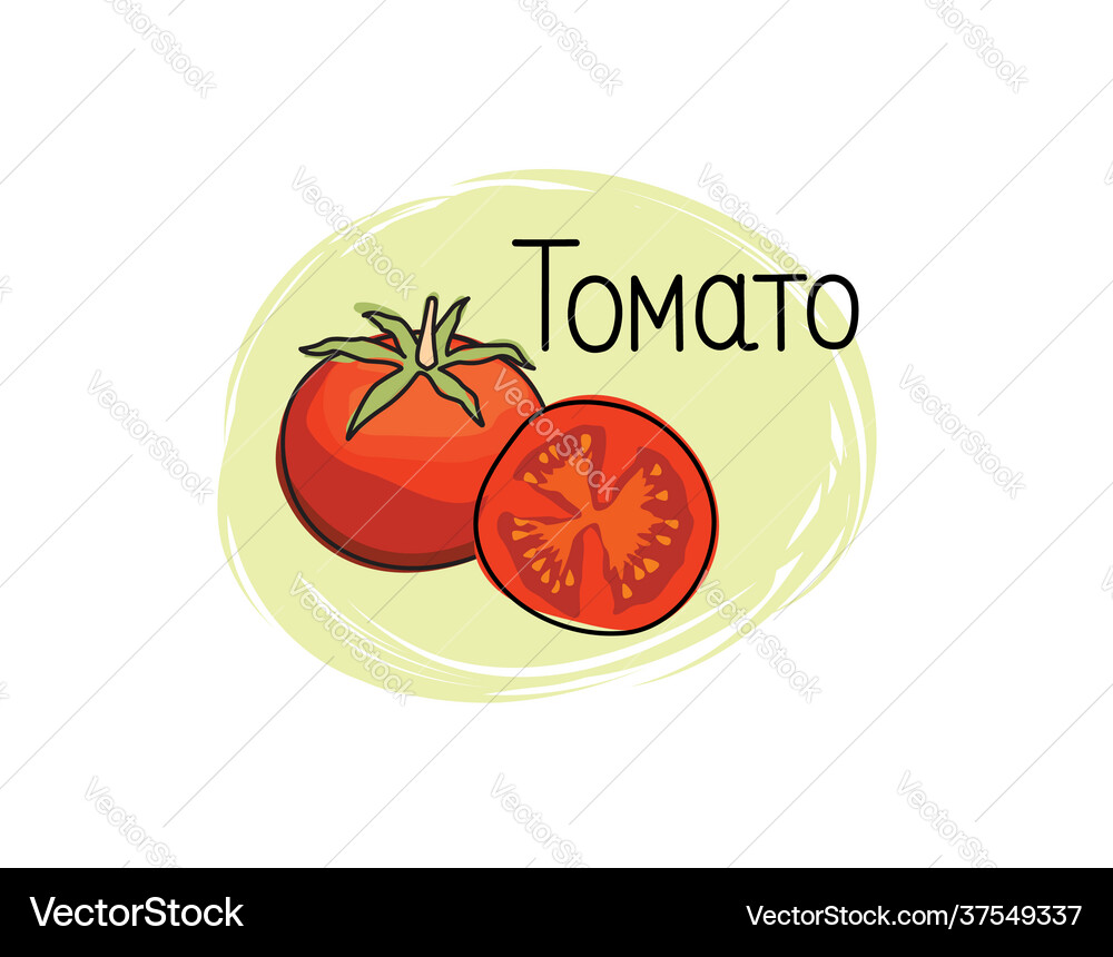 Red tomato icon full and sliced tomato isolated Vector Image