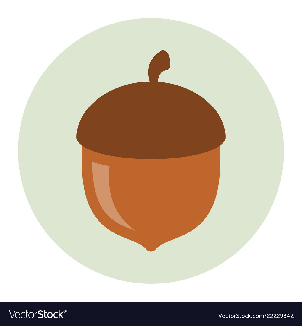 Acorn icon flat Royalty Free Vector Image - VectorStock Acorn icon flat Royalty Free Vector Image - VectorStock