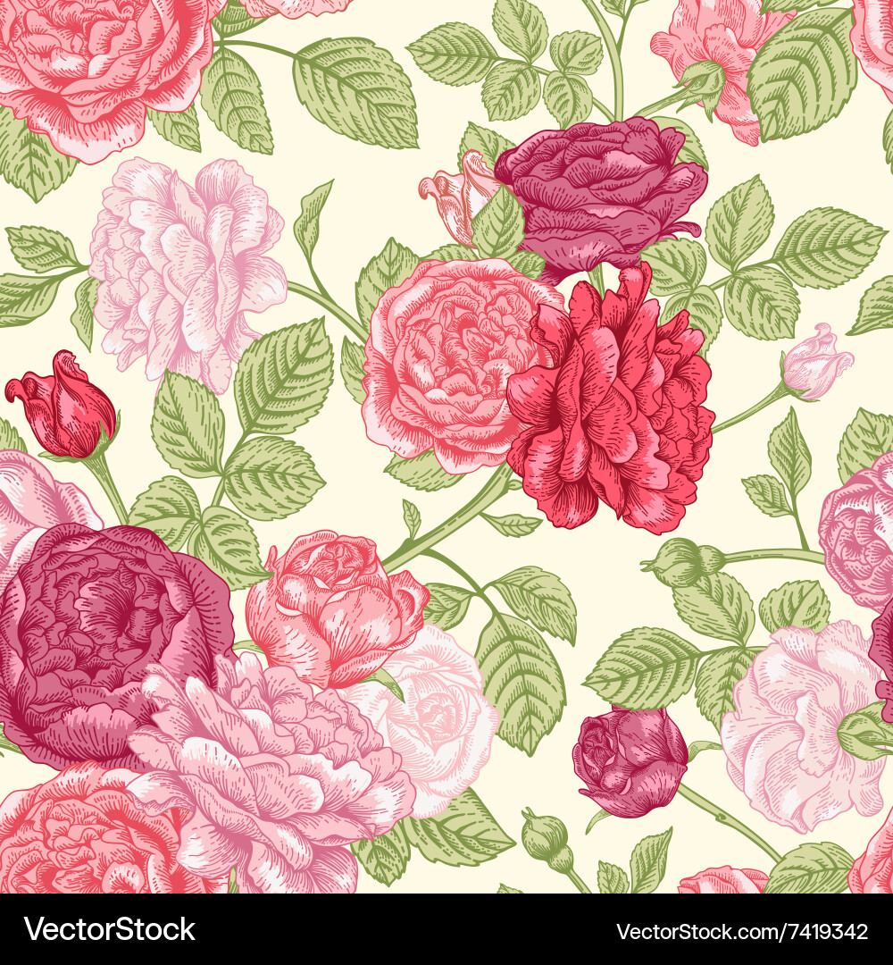 Seamless vintage pattern with english roses Vector Image