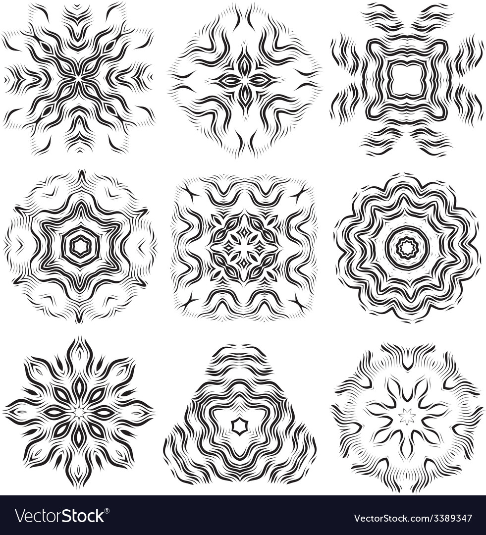 Beautiful pattern flower elements Royalty Free Vector Image