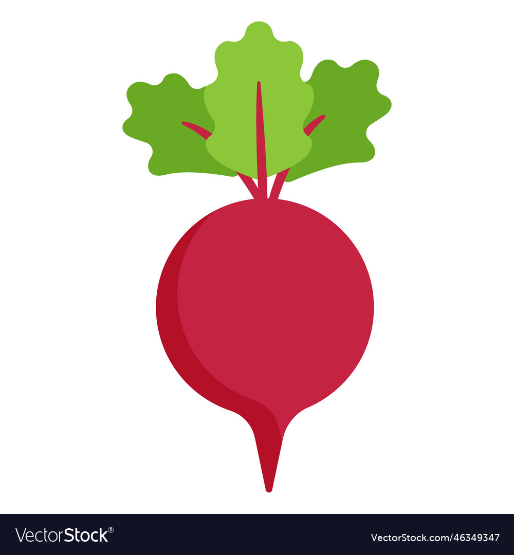 Beetroot vegetable flat Royalty Free Vector Image