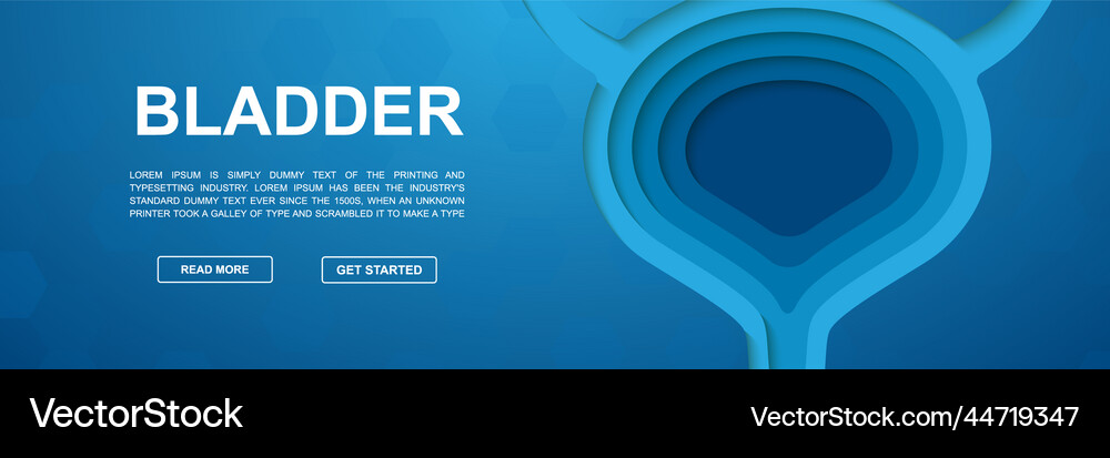 Bladder 3d paper cut symbol for head promotion Vector Image
