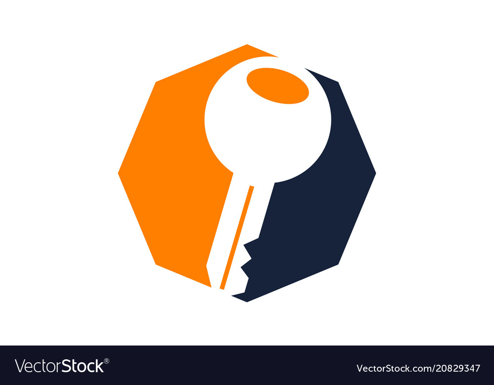 Key protection solution Royalty Free Vector Image