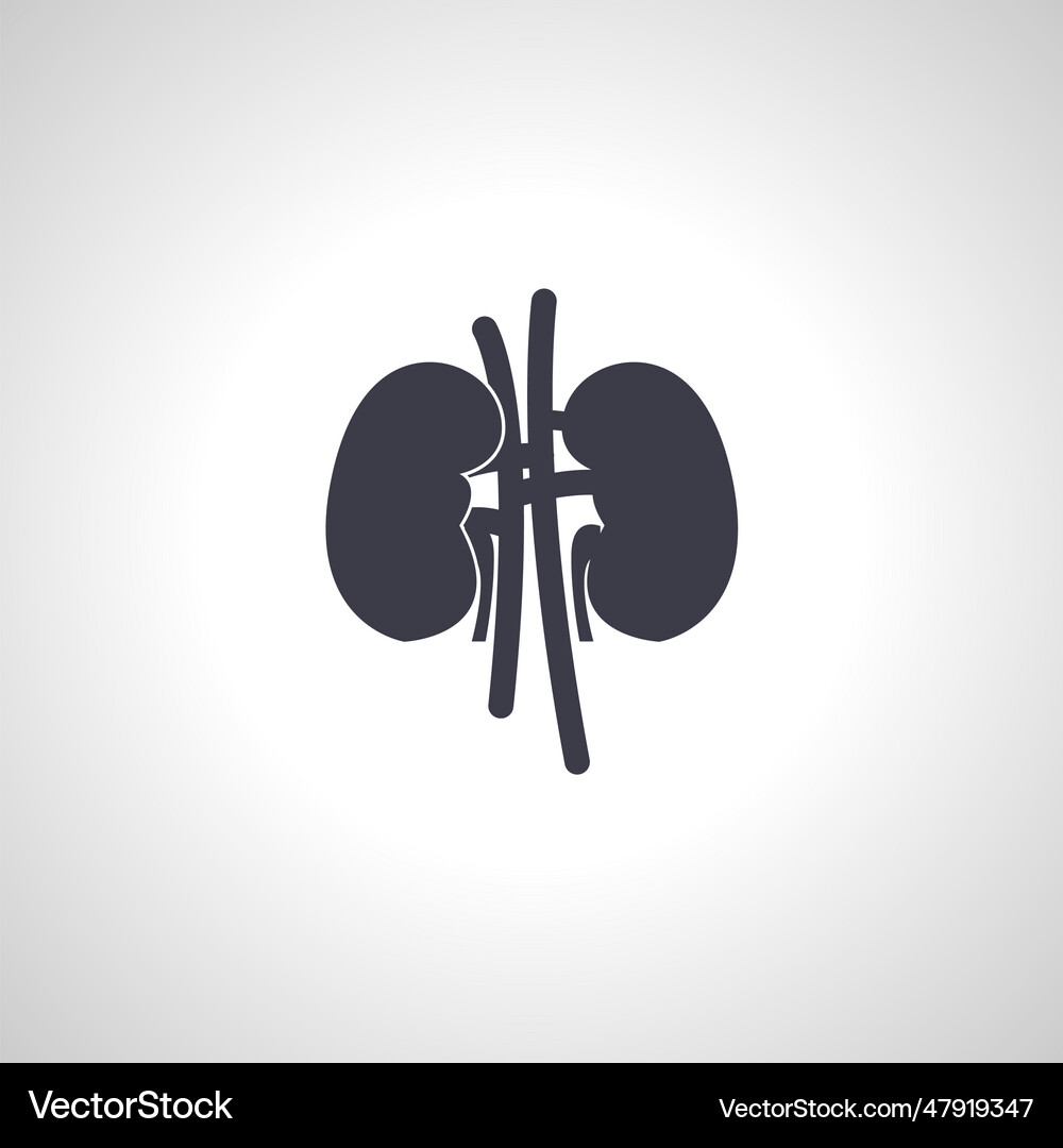 Kidney isolated icon kidneys icon Royalty Free Vector Image