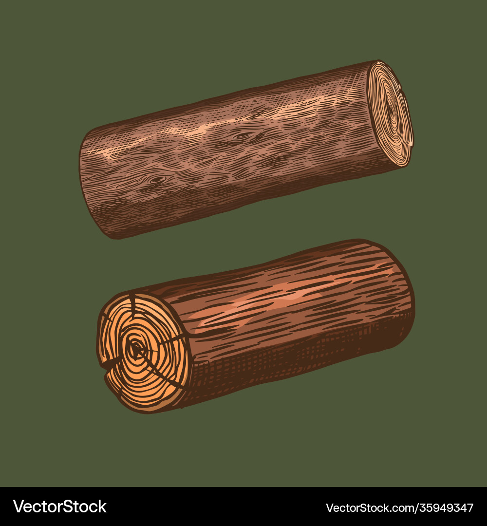 Wood or stump piece tree plank and log Royalty Free Vector