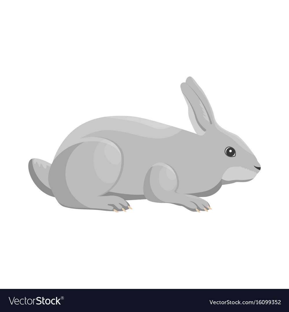 A rabbit Royalty Free Vector Image - VectorStock