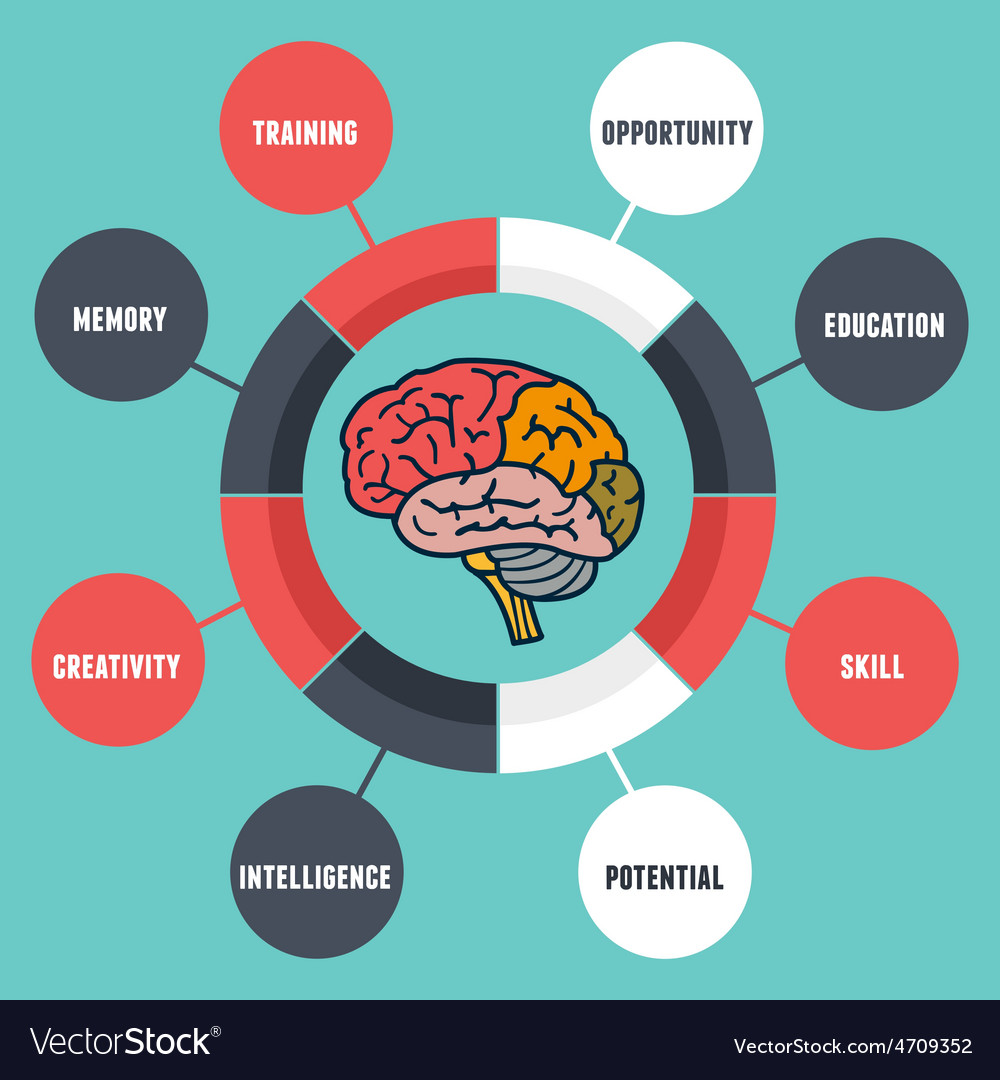 Infographics Abilities And Qualities The Vector Image